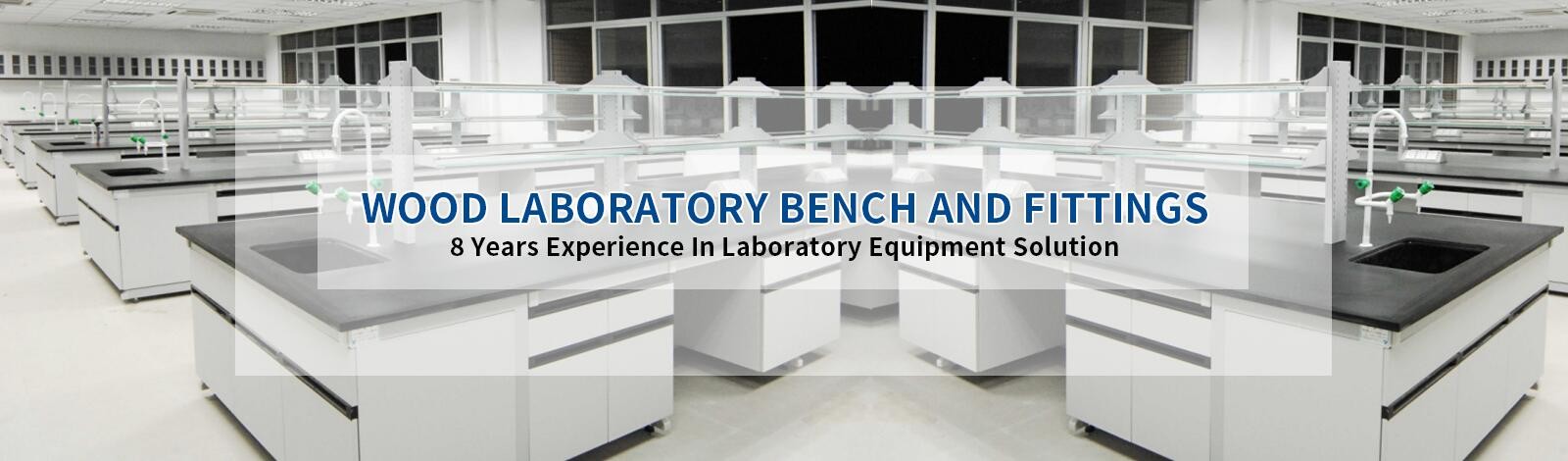 Quality Laboratory Casework & Fume Hoods factory from China